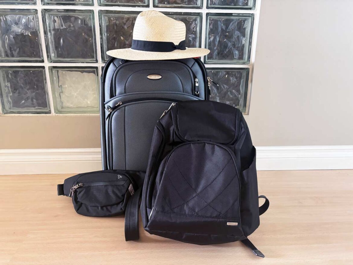 How To Get from the Turin Airport to the City Center