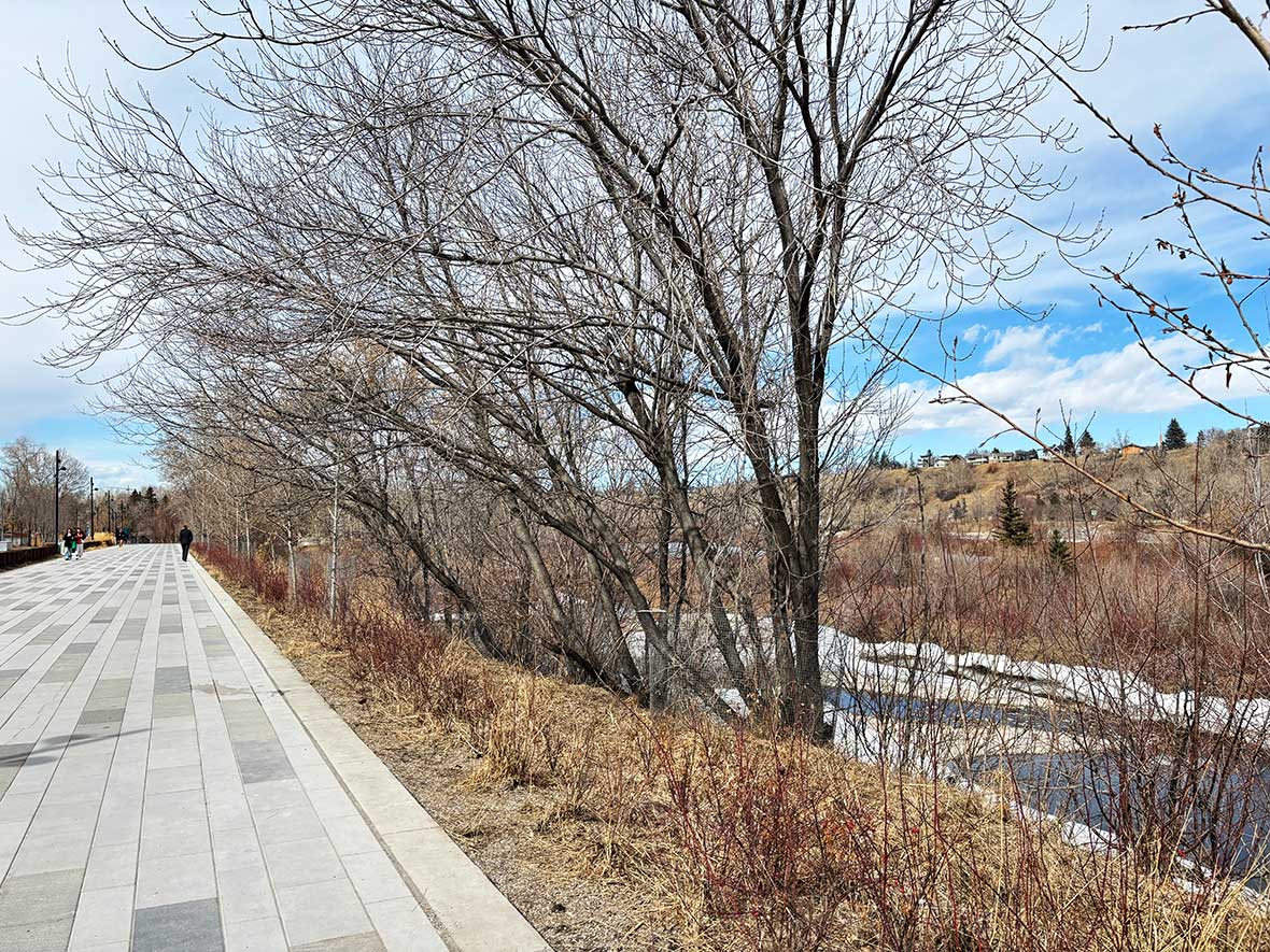 The Essential Self-Guided Walking Tour of Downtown Calgary